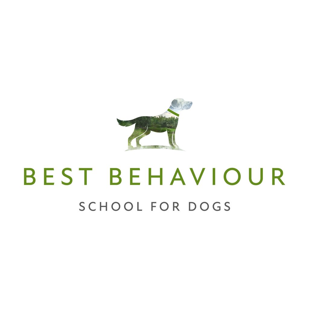 Best Behaviour School for Dogs – hughes design co.