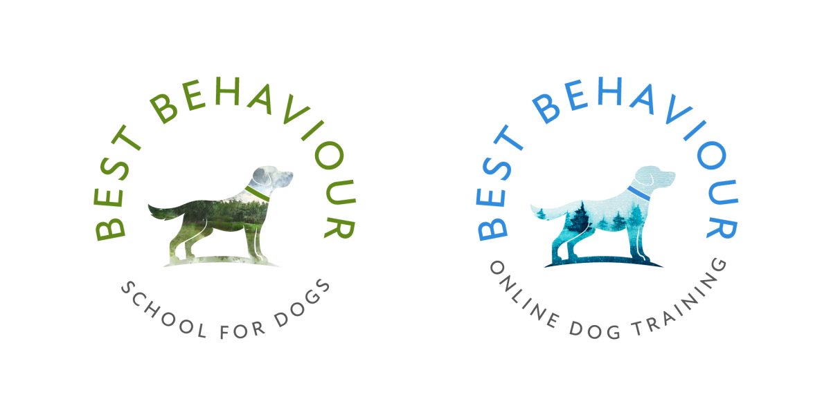 Best Behaviour School for Dogs – hughes design co.